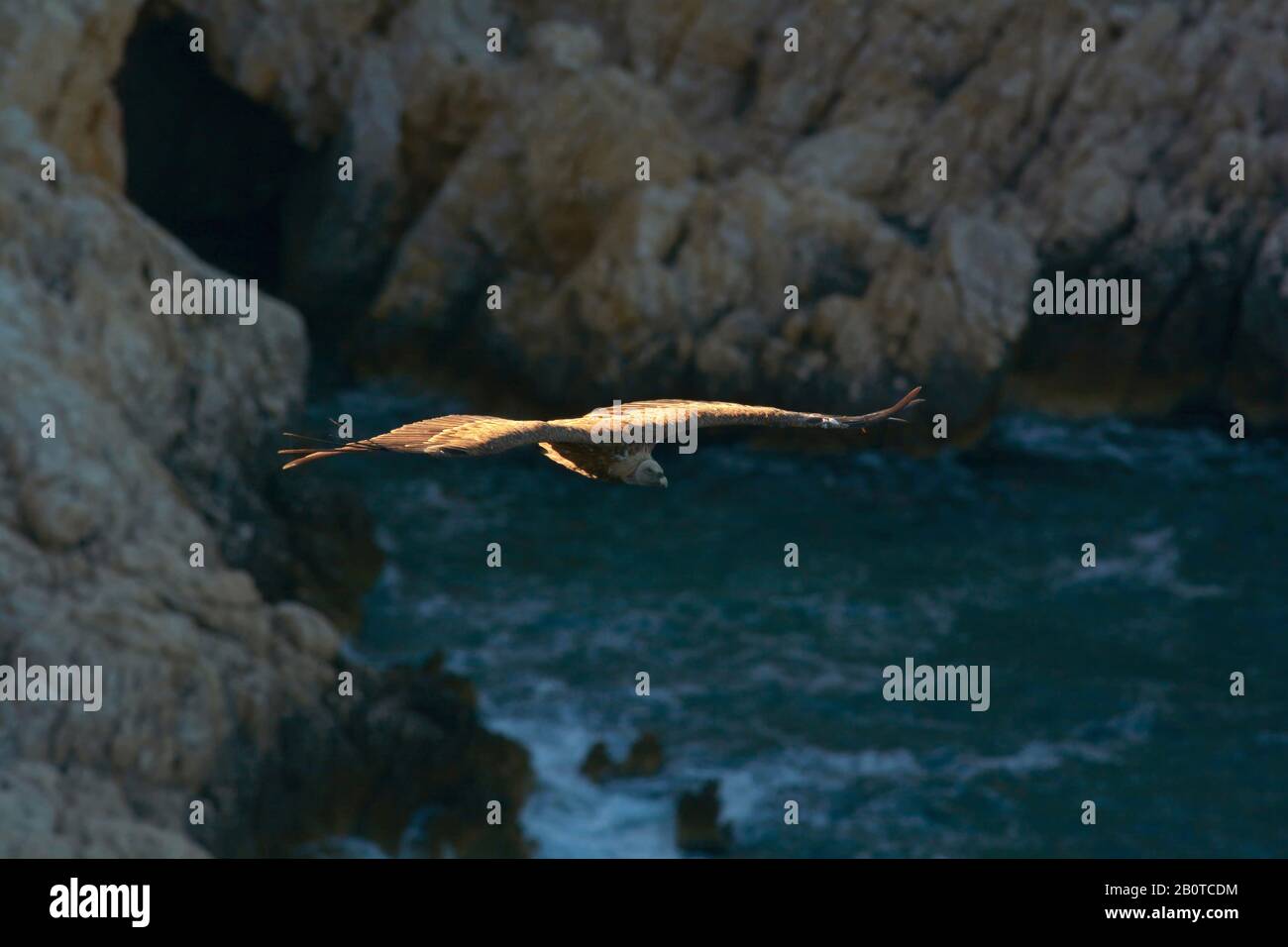 Flight over big waves in hi-res stock photography and images - Alamy