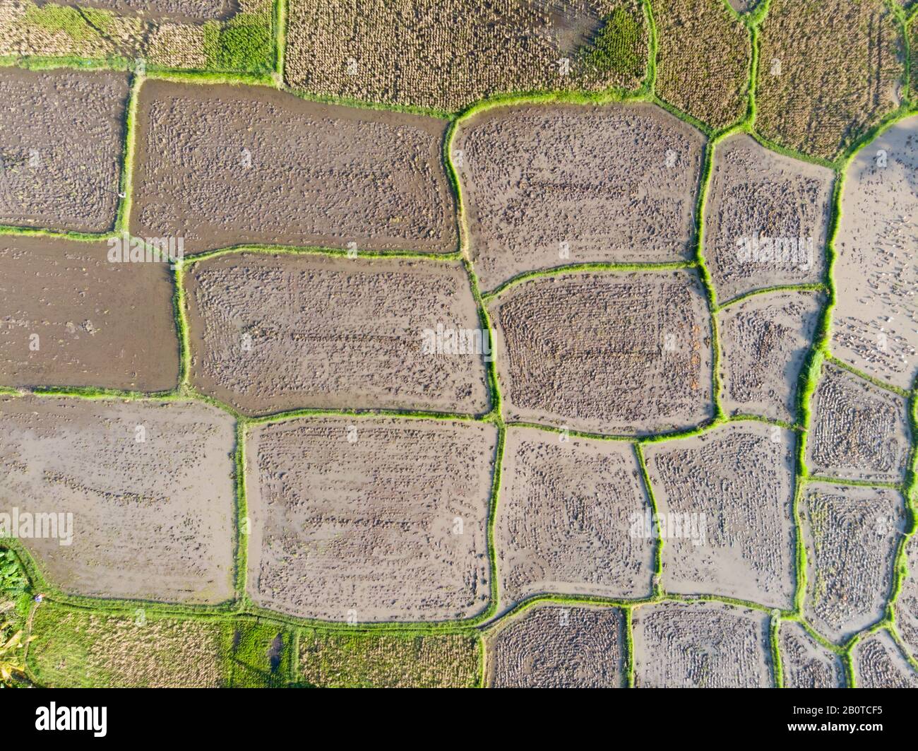 Padi aerial hi-res stock photography and images - Alamy