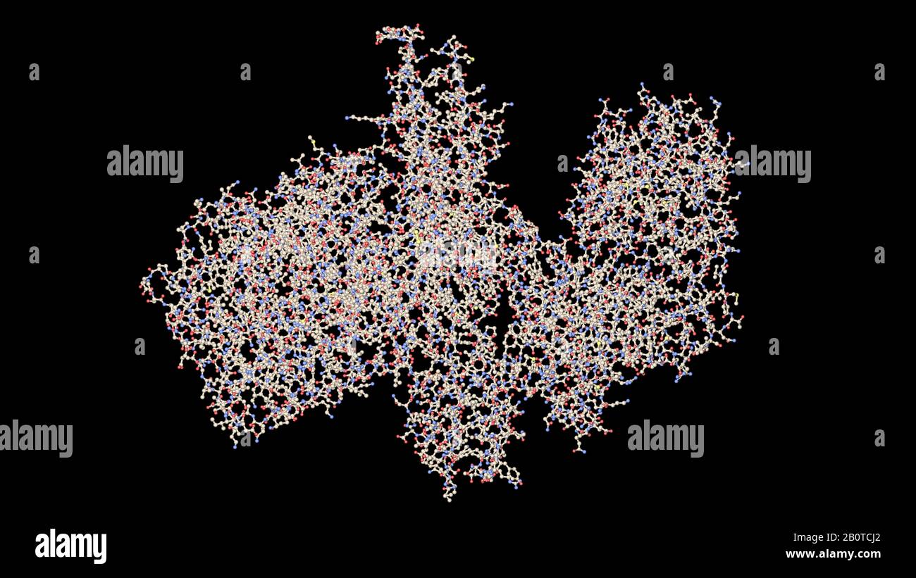Botulinum molecule ball stick representation 3d rendering Stock Photo ...