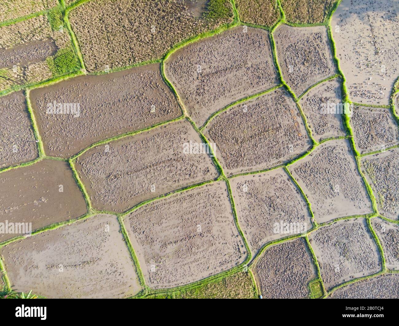 Padi aerial hi-res stock photography and images - Alamy