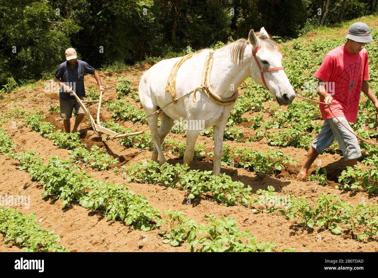 Field being plowed hi-res stock photography and images - Alamy