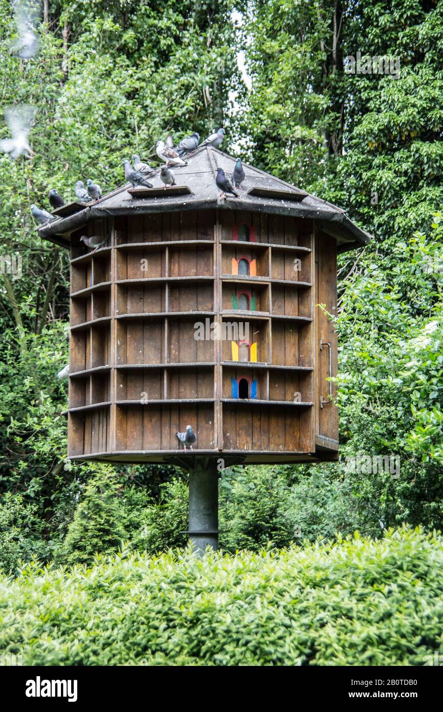 Wooden pigeon house hi-res stock photography and images - Alamy