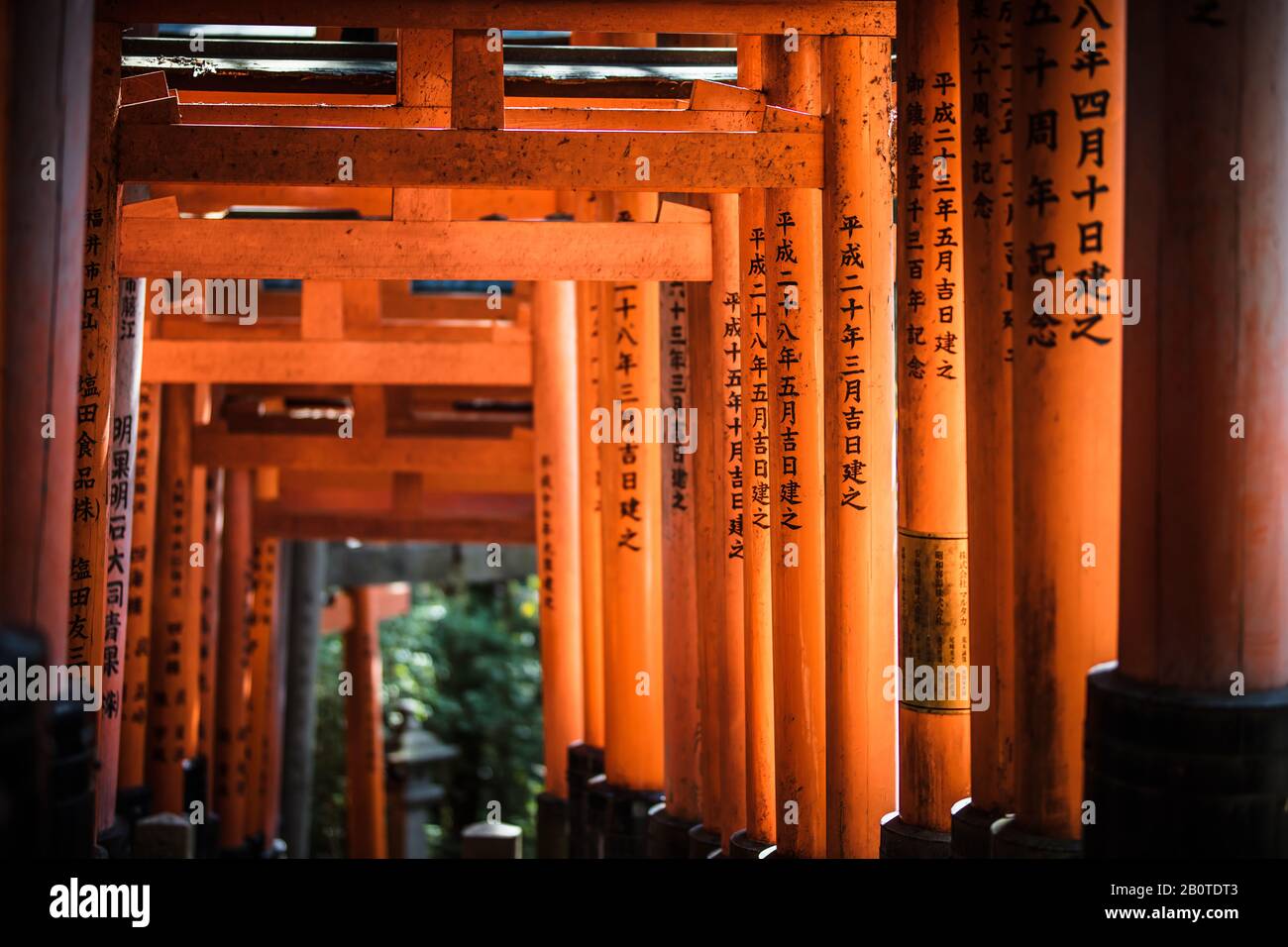 Fushimi Inari Shrine Kyoto Japan Stock Photo - Alamy