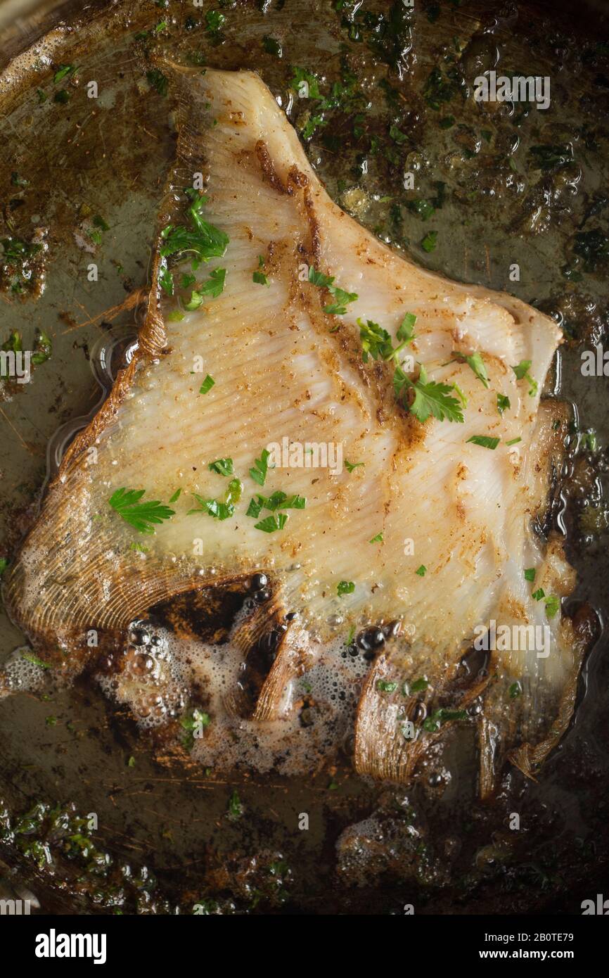 Traditional ray recipe hi-res stock photography and images - Alamy