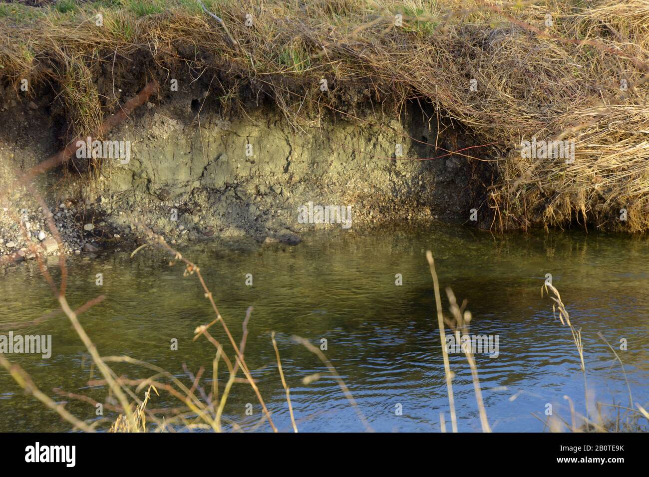 small brook in bavaria with soil erosion after winter, soil degradation ...