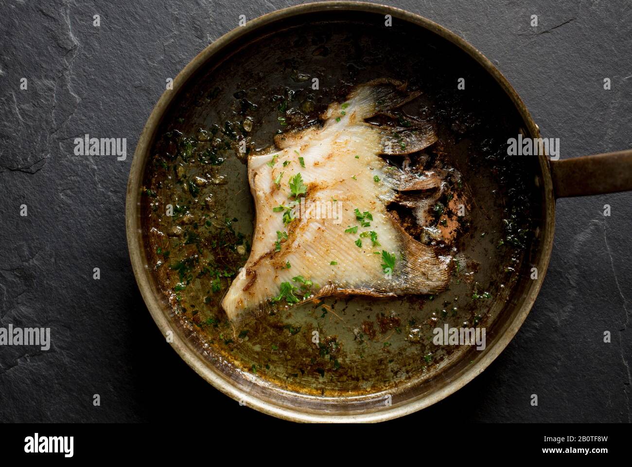 Fish with wings hi-res stock photography and images - Alamy