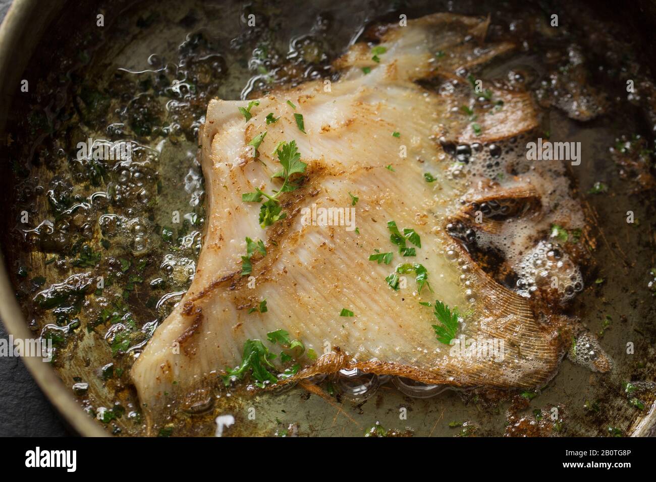 Thornback Ray Gb High Resolution Stock Photography and Images - Alamy