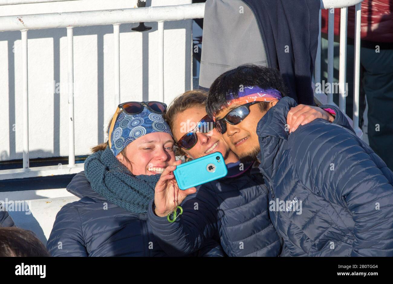 Cell Guides High Resolution Stock Photography and Images - Alamy