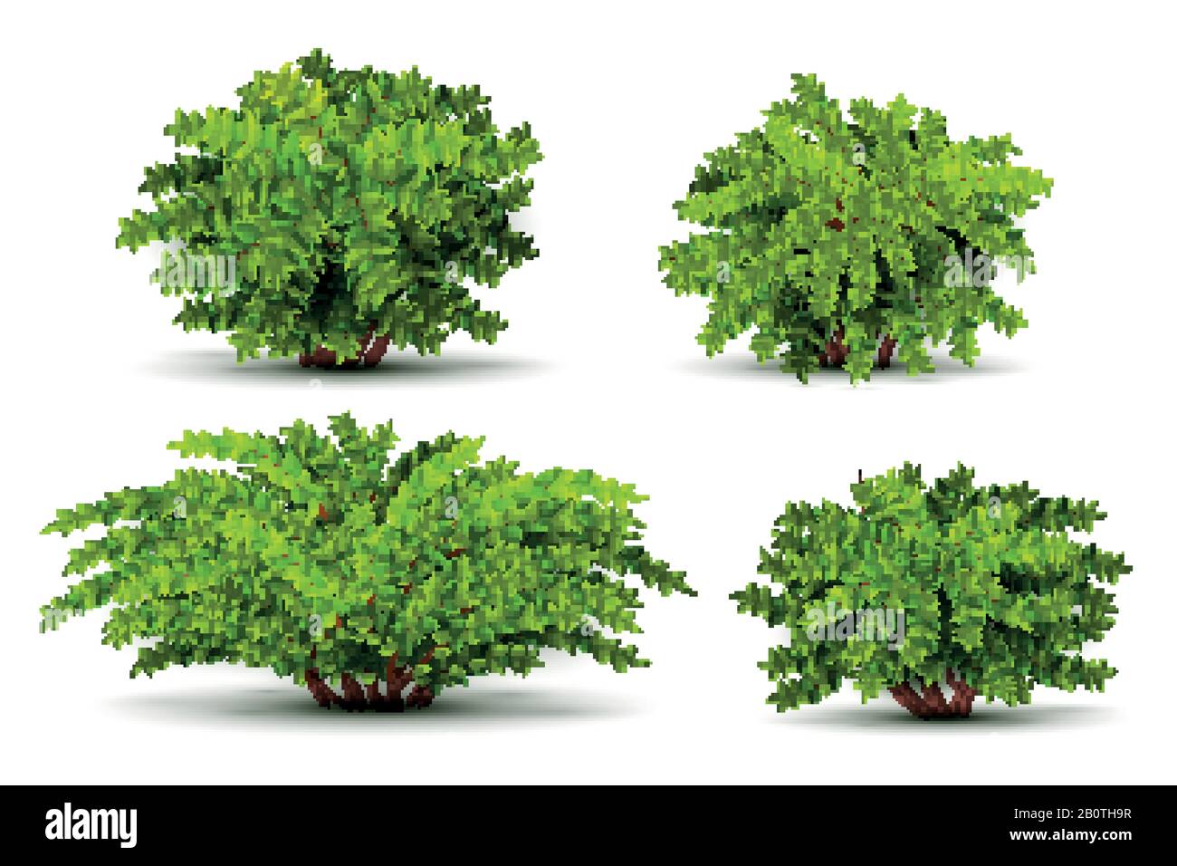 Shrubbery, 3d isometric bushes isolated on white vector set. Green ...