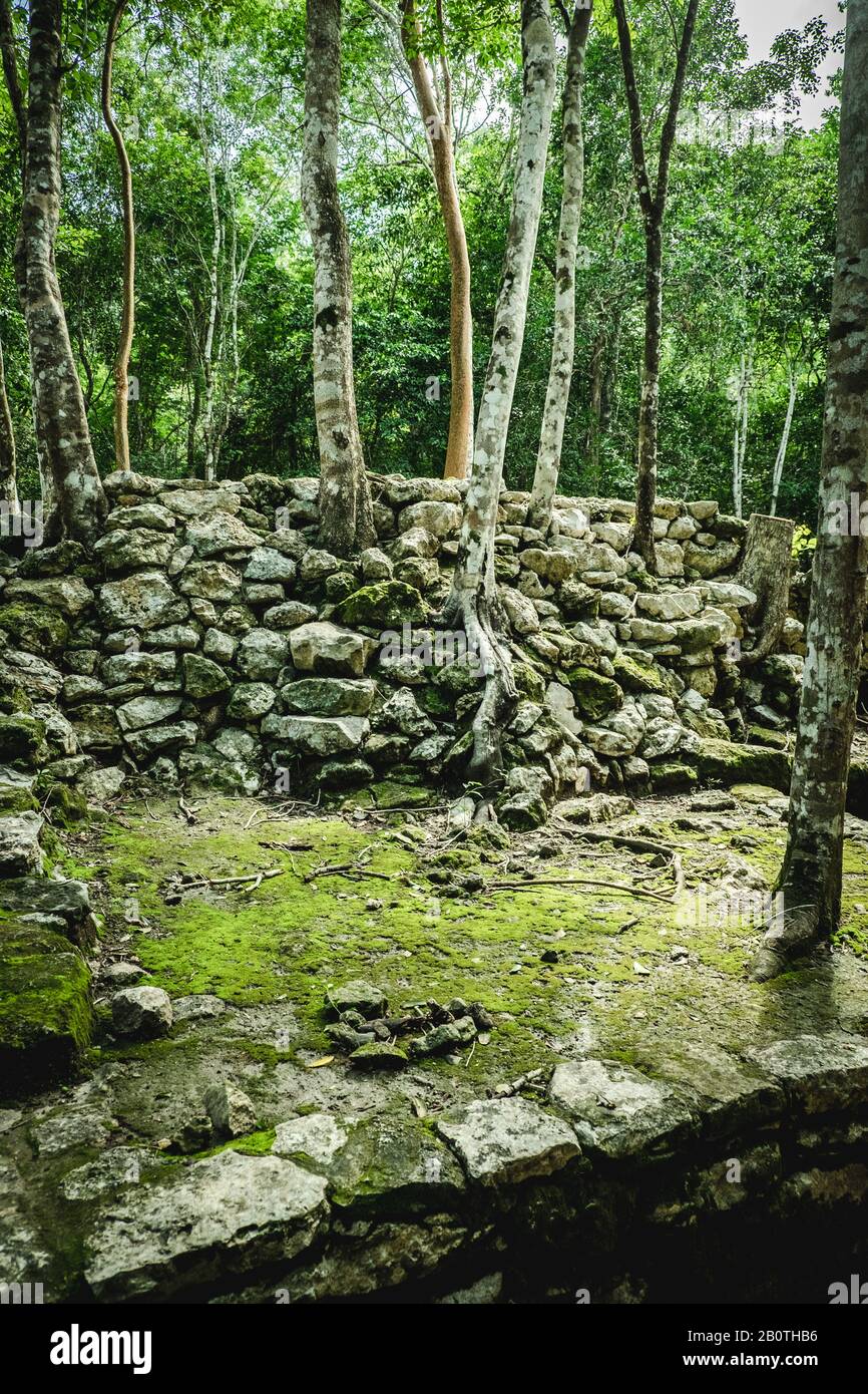 Tulum Archiological Site in Quintana Roo, Mexico Stock Photo - Alamy