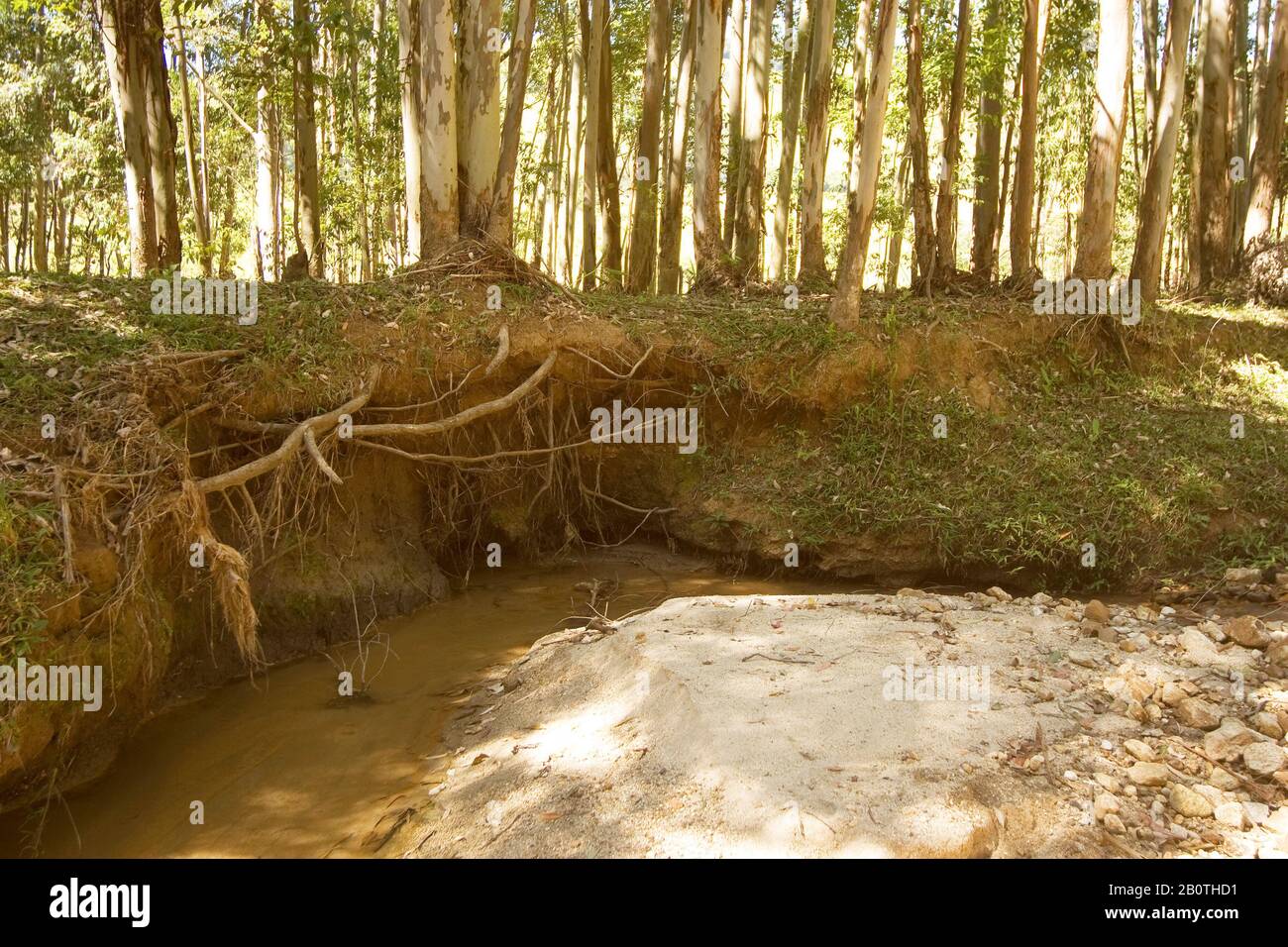 Margem de rio hi-res stock photography and images - Alamy