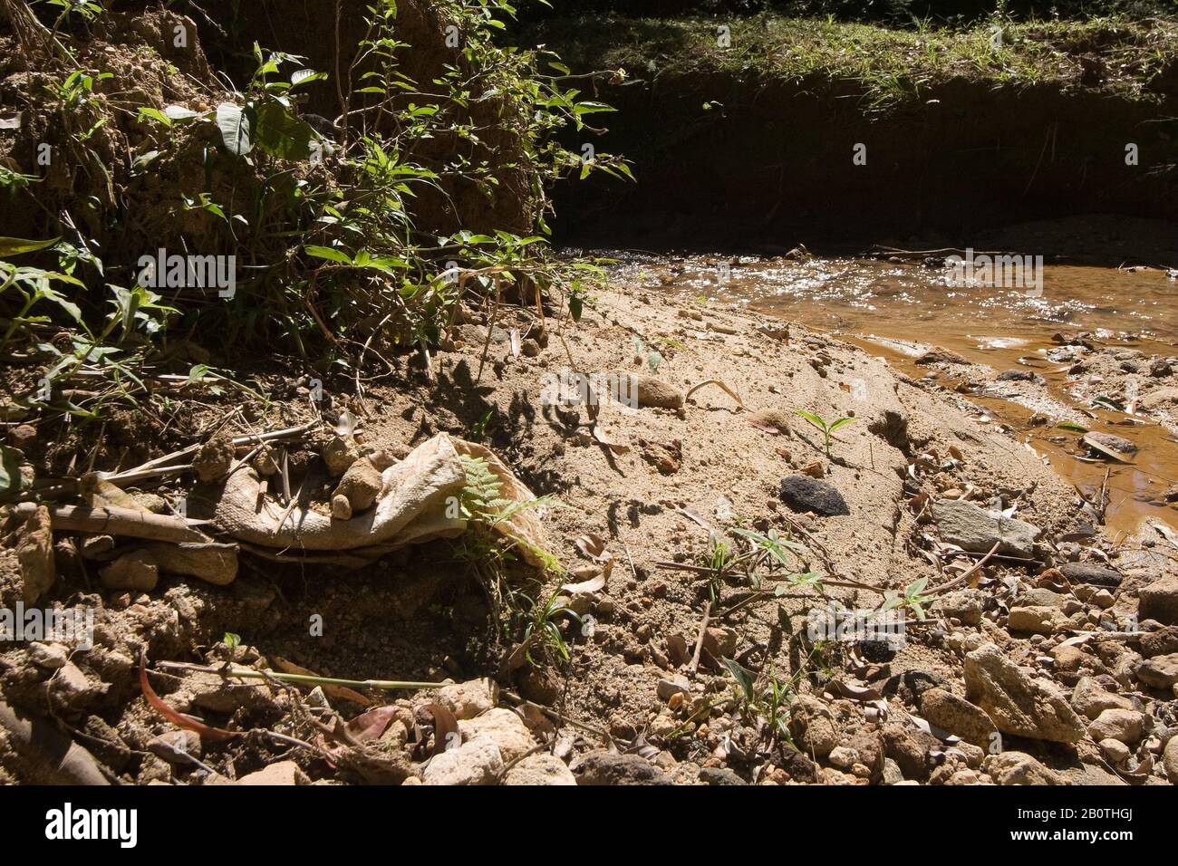 Aggradation hi-res stock photography and images - Alamy