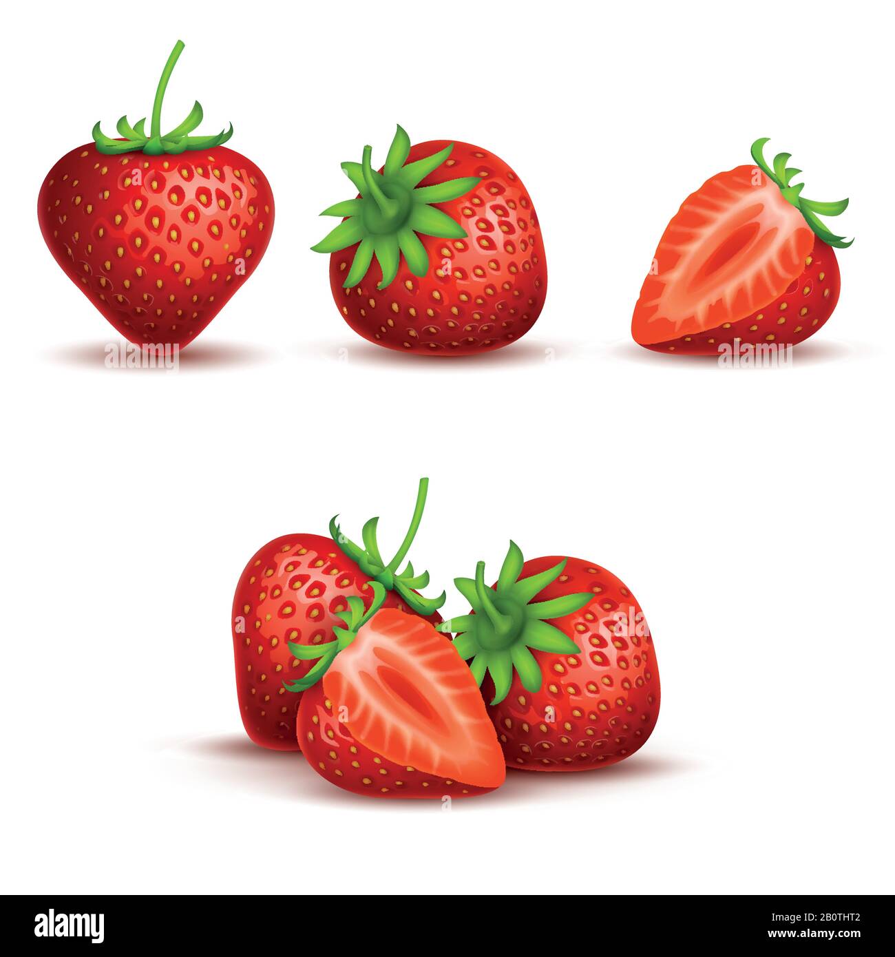 Vector realistic sweet and fresh strawberry isolated on white ...