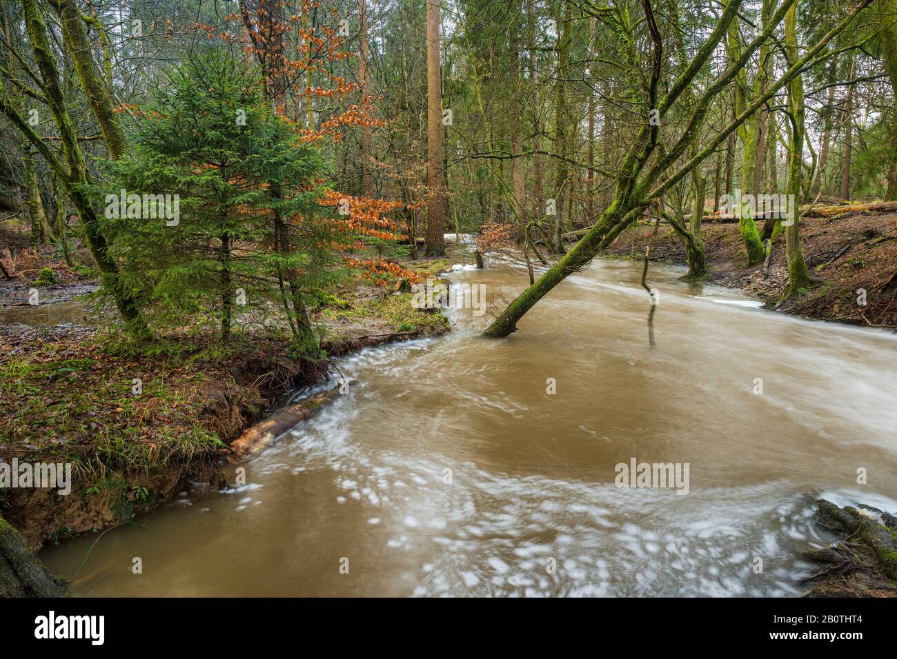 Overflow lake hi-res stock photography and images - Alamy
