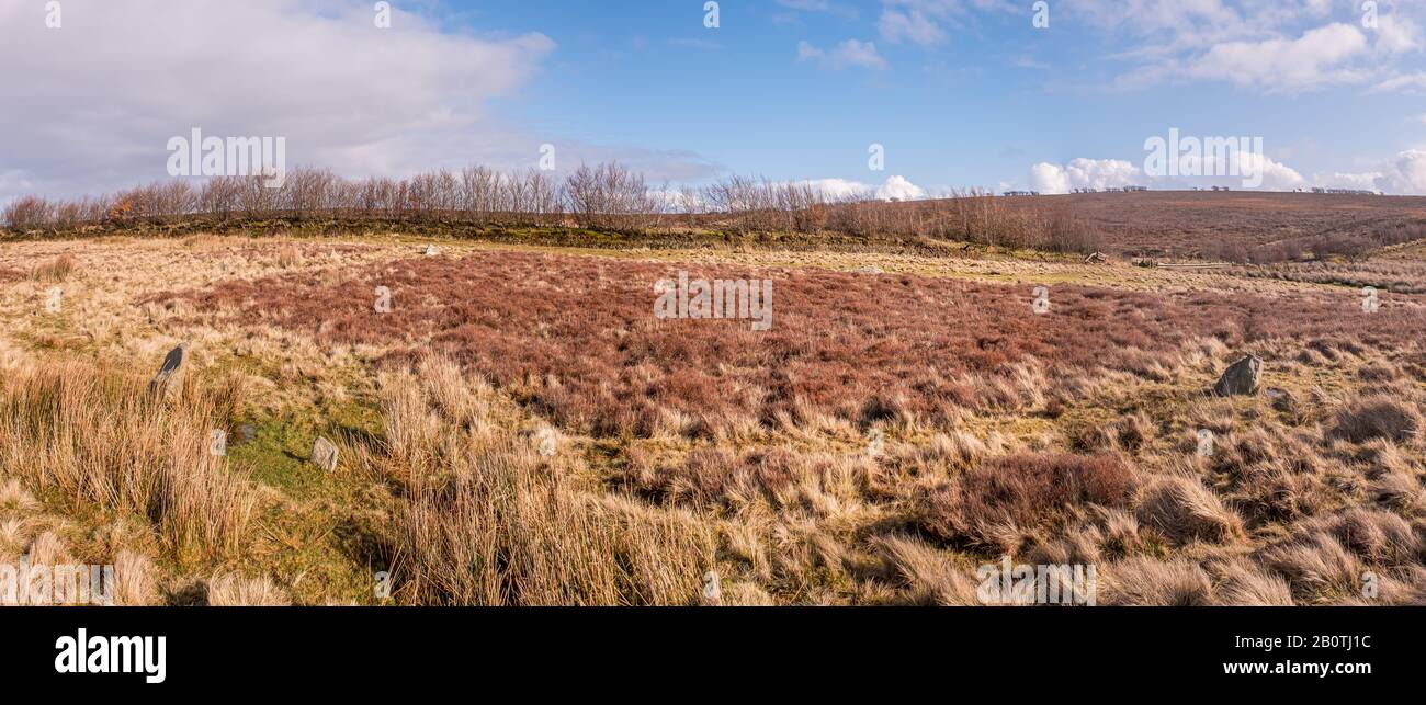 Micaceous stone hi-res stock photography and images - Alamy