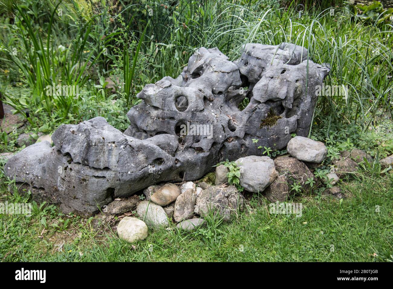 stone rock in wetland Stock Photo - Alamy