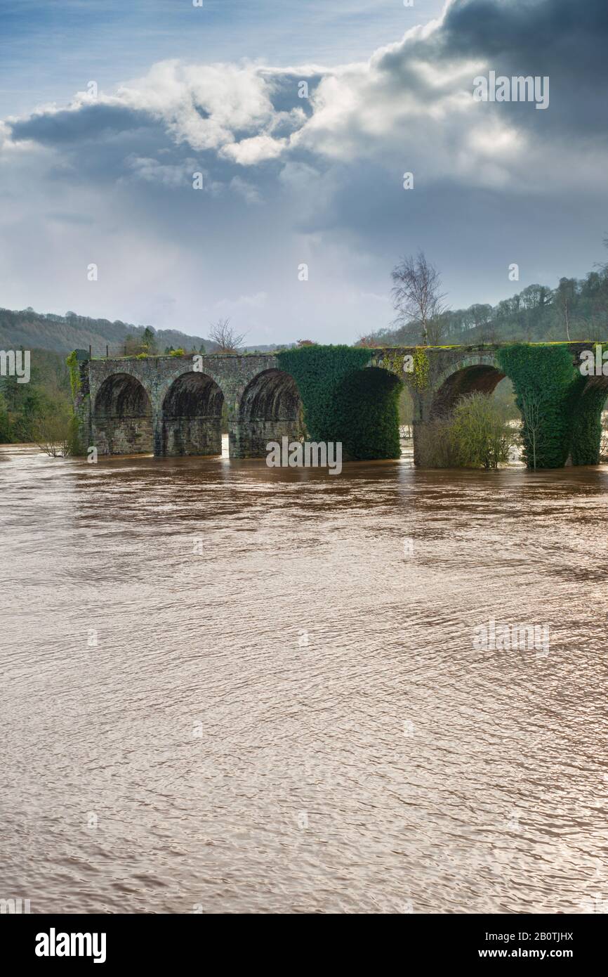 The historic Wye Valley rail viaduct at Monmouth surrounded by flood ...