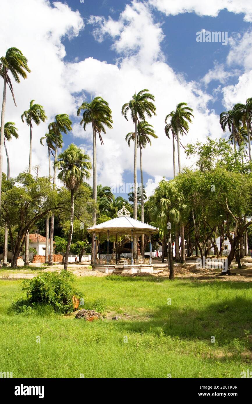 Pernambuco tree leaves hi-res stock photography and images - Alamy