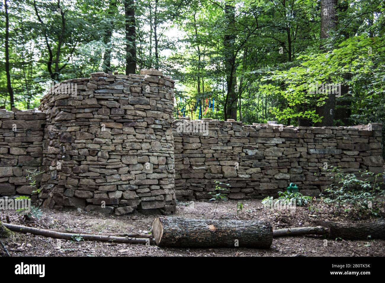 Forest drywall hi-res stock photography and images - Alamy