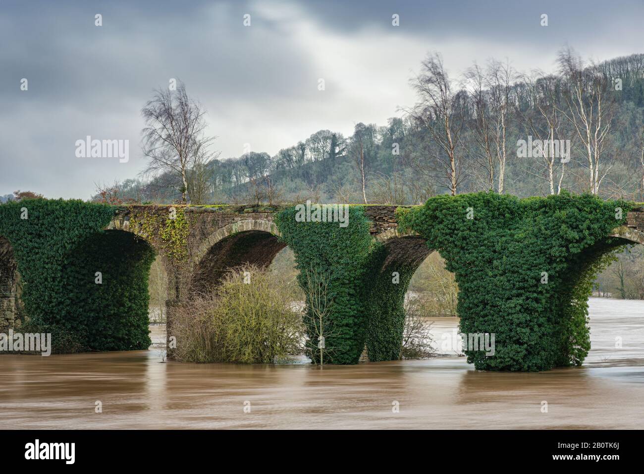 The historic Wye Valley rail viaduct at Monmouth surrounded by flood ...