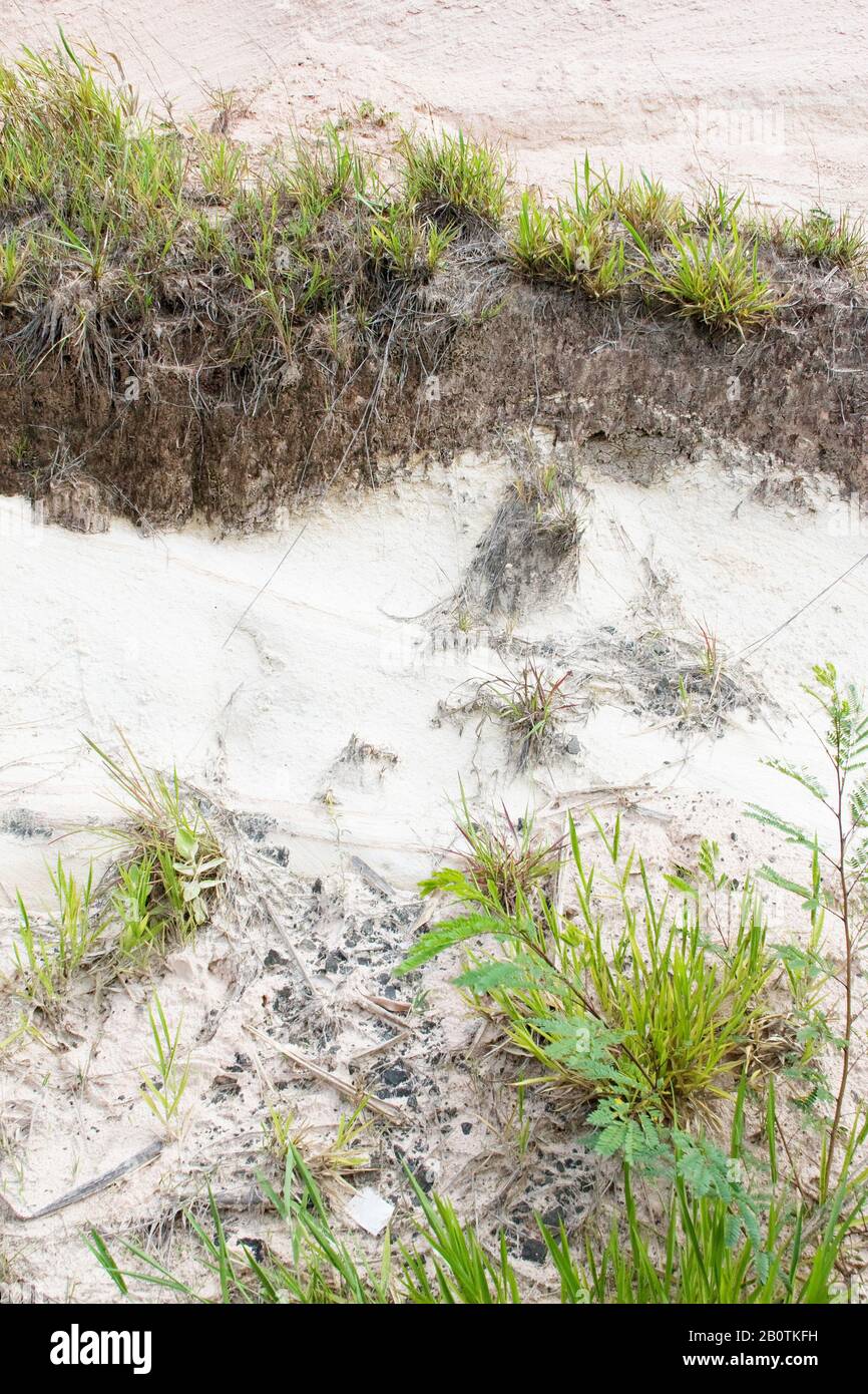 Arenito Pirambóia, camadas, Sandstone Pirambóia, Layers, São Paulo ...