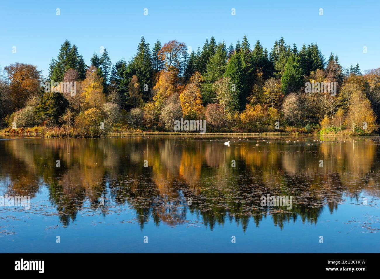 Penicuik estate hi-res stock photography and images - Alamy