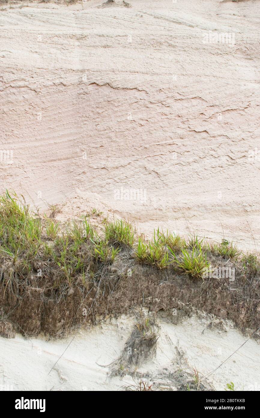 Arenito piramboia hi-res stock photography and images - Alamy