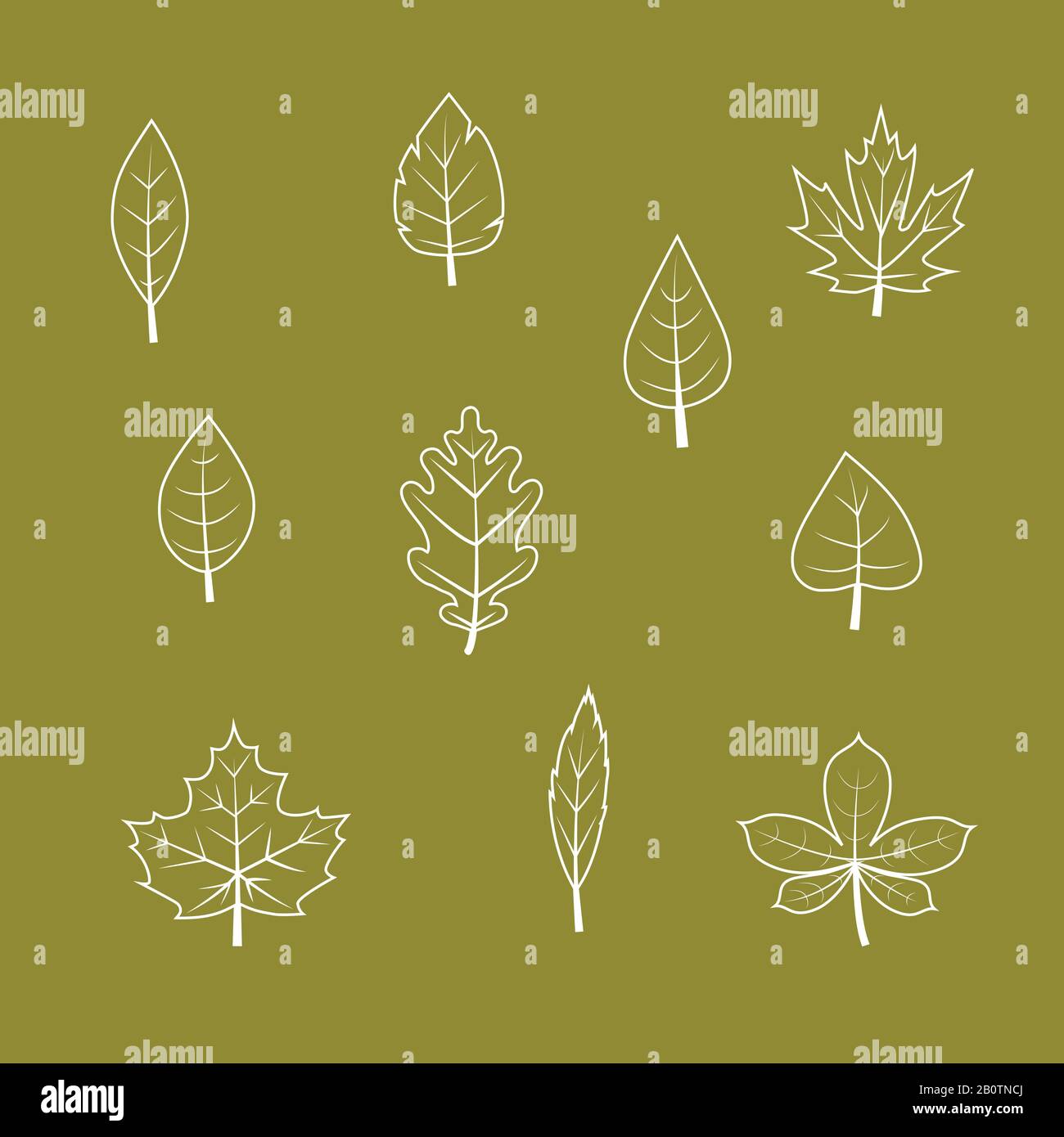 Vector autumn leaf icon set Stock Vector Image & Art - Alamy