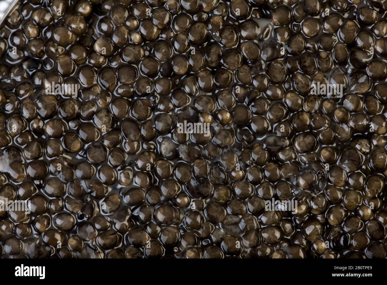 Caviar, Sturgeon's Egg Stock Photo - Alamy