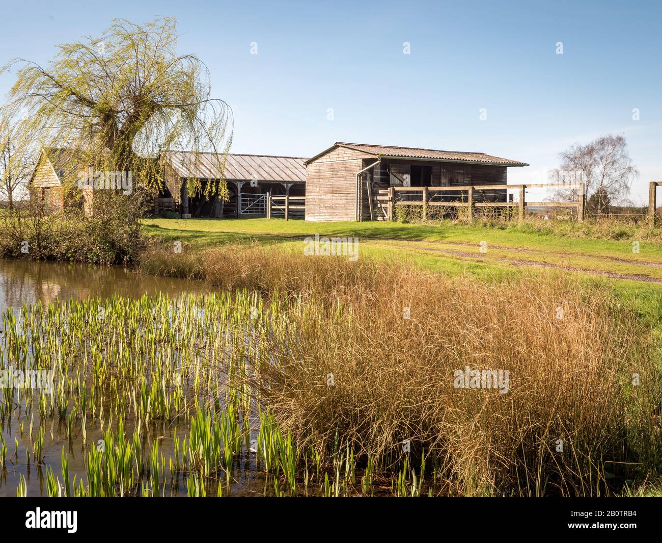 Farm stables and pond. A rural English farmyard scene with wooden horse ...