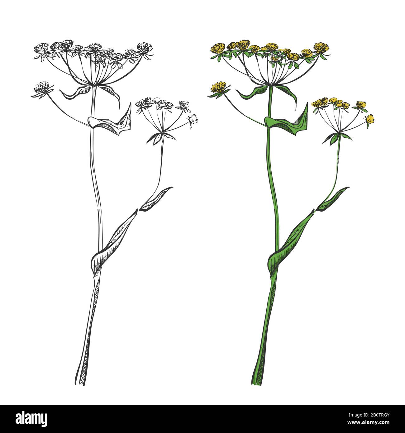 Art design book black Cut Out Stock Images & Pictures - Alamy