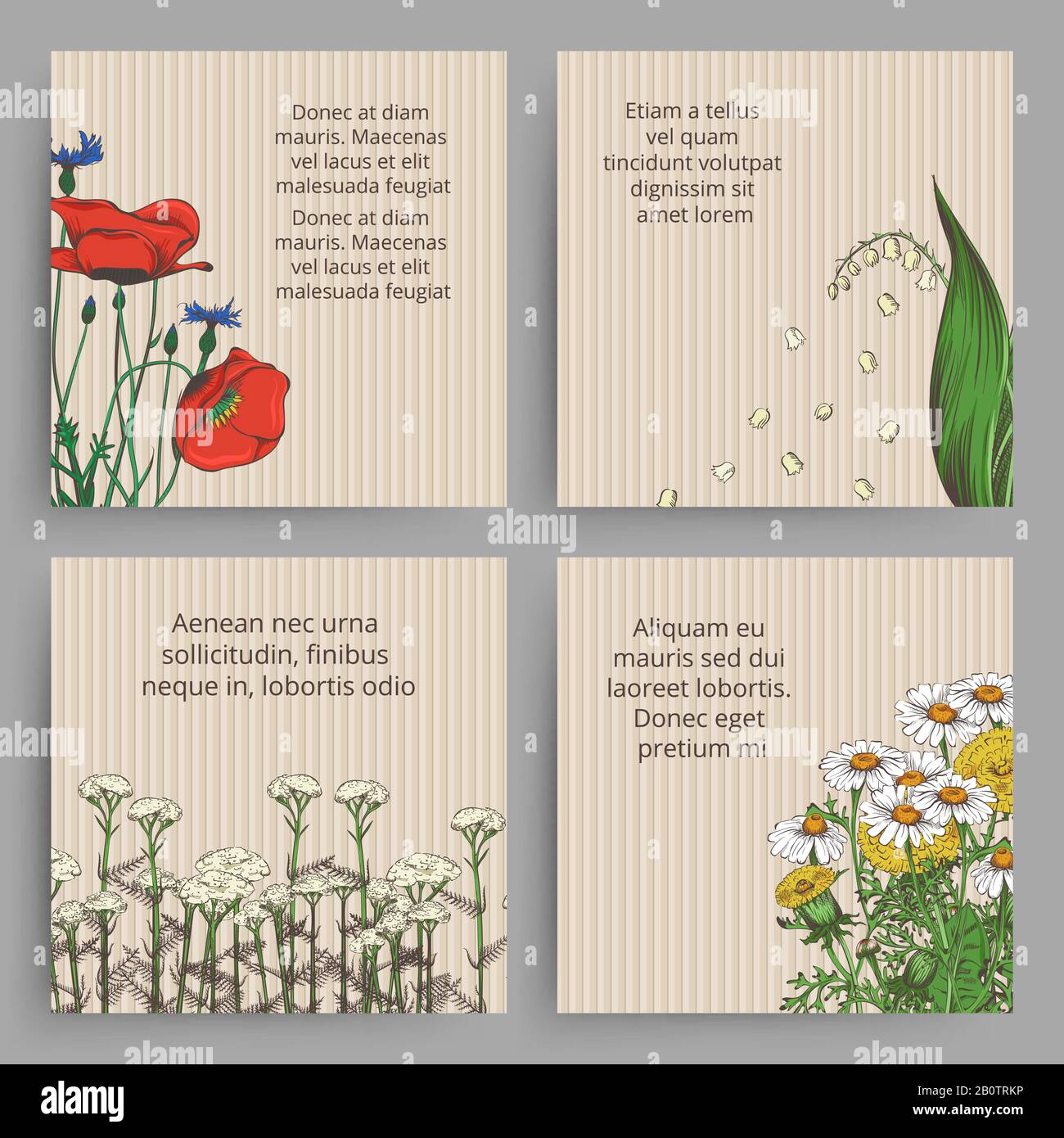 Vintage banner with and drawn flowers - floral retro banners. Design ...