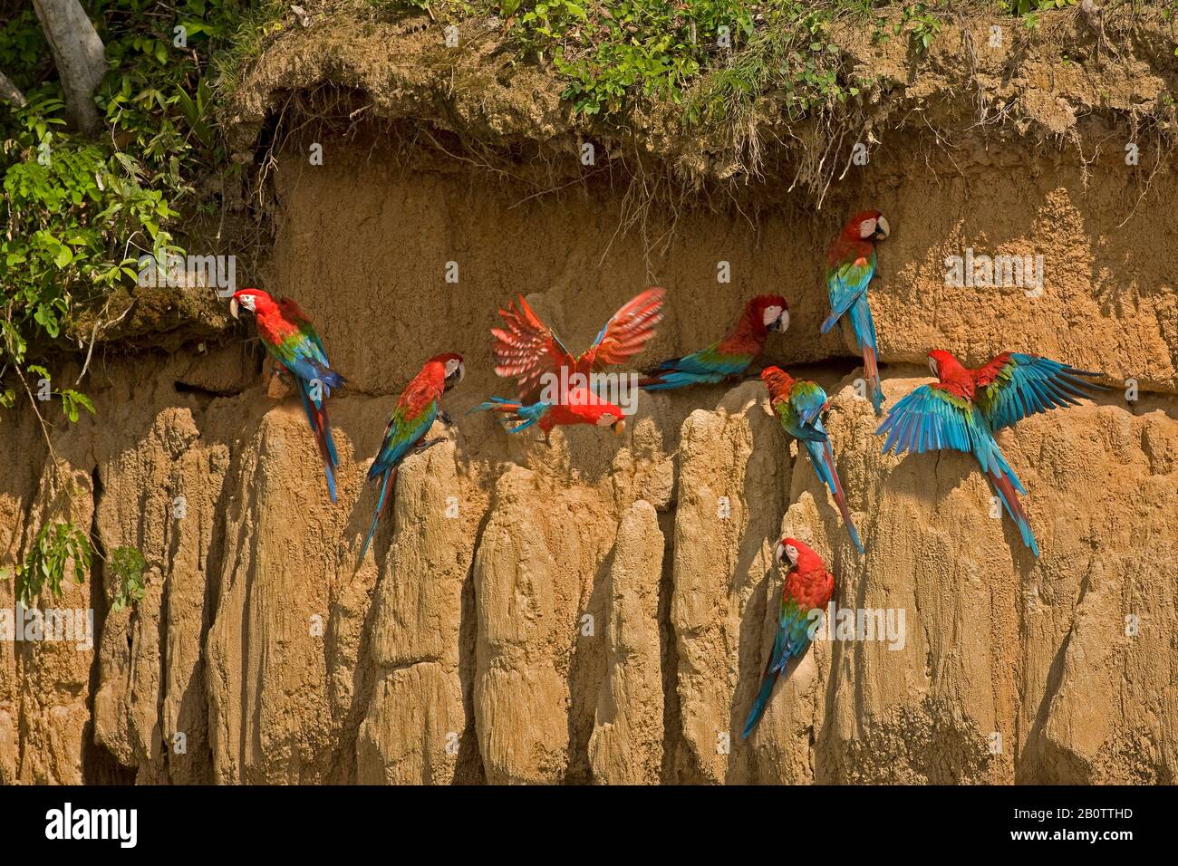 Group eating clay hi-res stock photography and images - Alamy