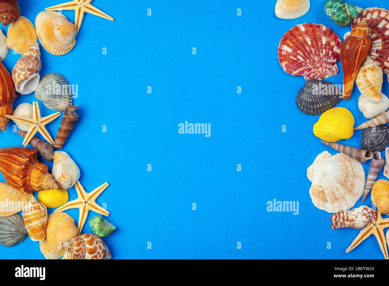 Flat lay. Top view. Frame of shells of various kinds on a blue ...