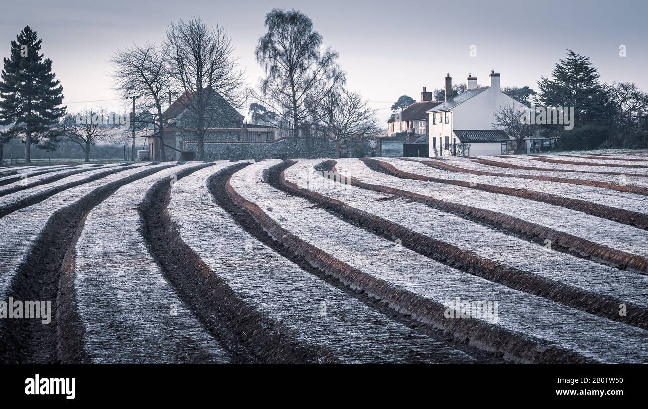 Frosty Morning on the Farm Stock Photo - Alamy