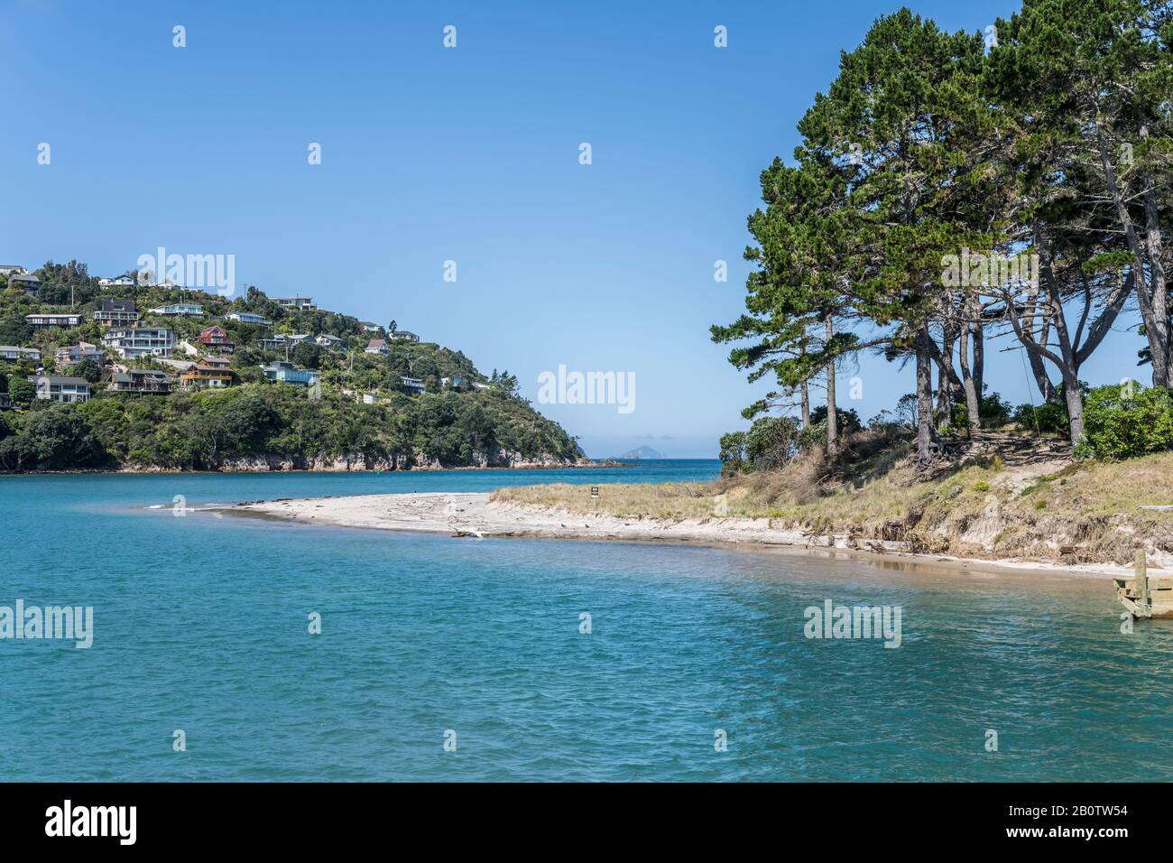 landscape of sand cape at Tairua bay, shot in bright late spring light ...