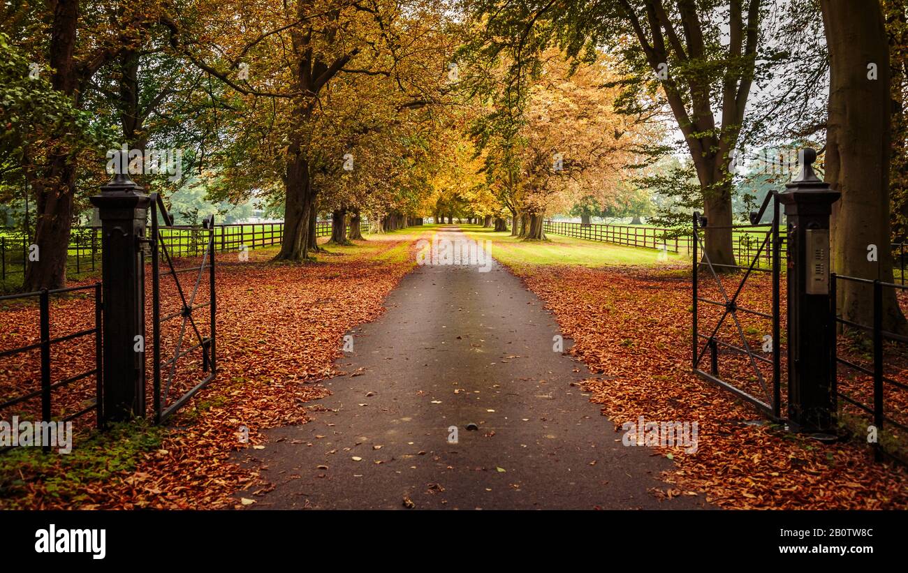 Gateway to autumn with leaf-strawn orange, russet colours of the season ...