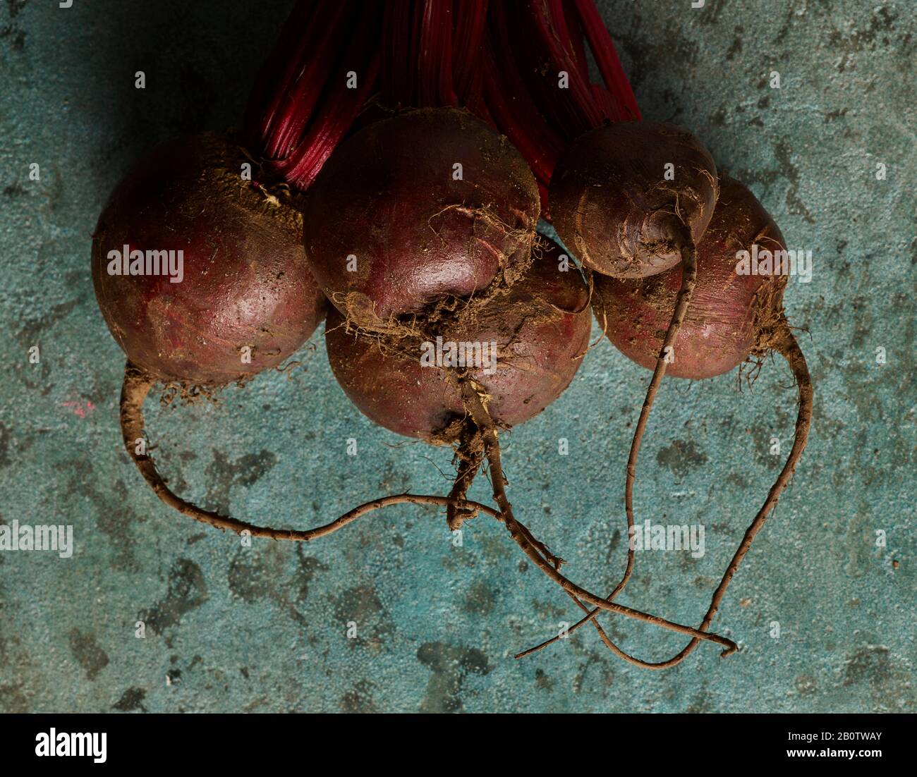 Beetroot art hi-res stock photography and images - Alamy