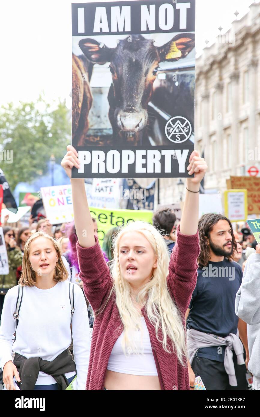 Animal Rights Protest - London 18th August 208 Stock Photo - Alamy