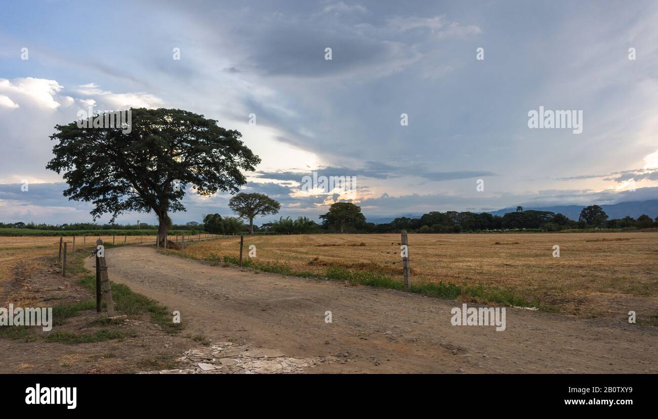 Colombian natural landscape Stock Photo - Alamy