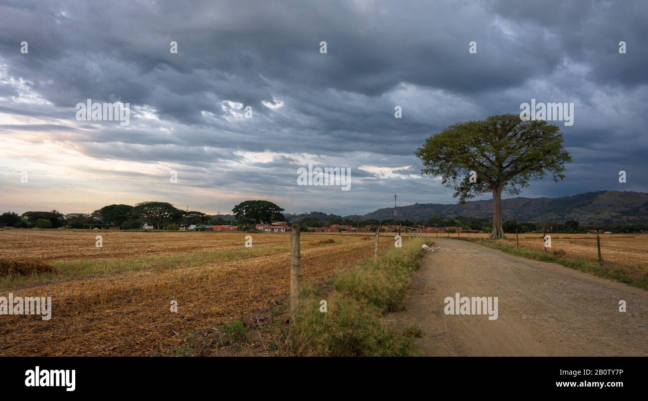 Colombian natural landscape Stock Photo - Alamy
