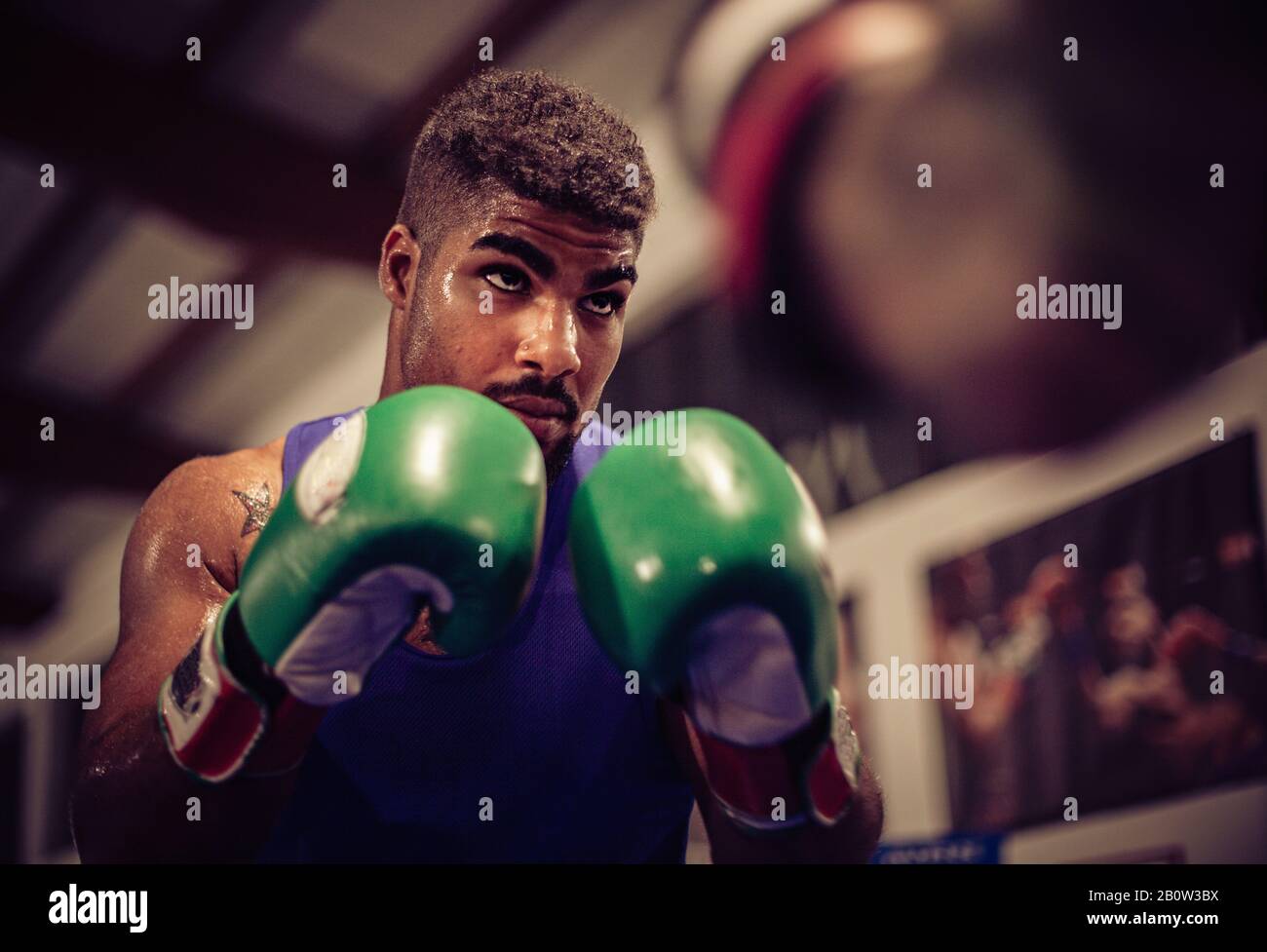 Close up of male boxer wearing green boxing gloves Stock Photo - Alamy