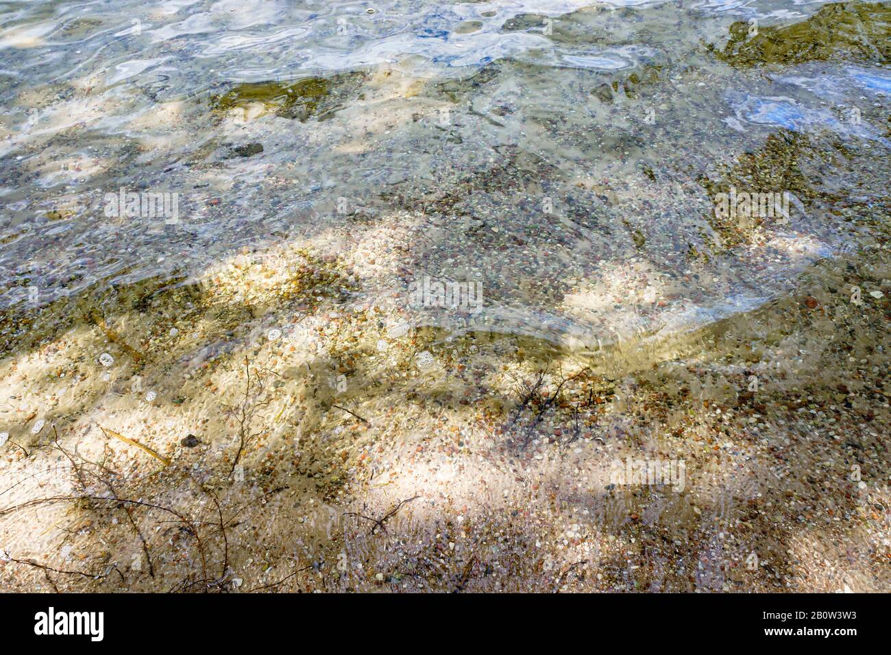 the sand under the water, transparent water in a forest pond Stock ...