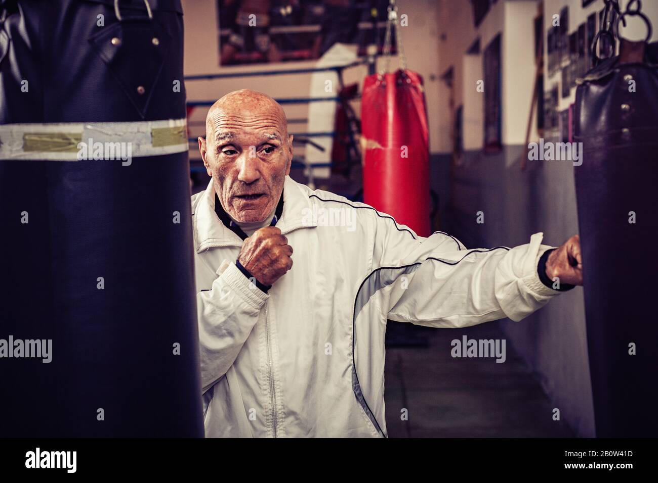 Portrait of boxing coach in boxing gym Stock Photo - Alamy