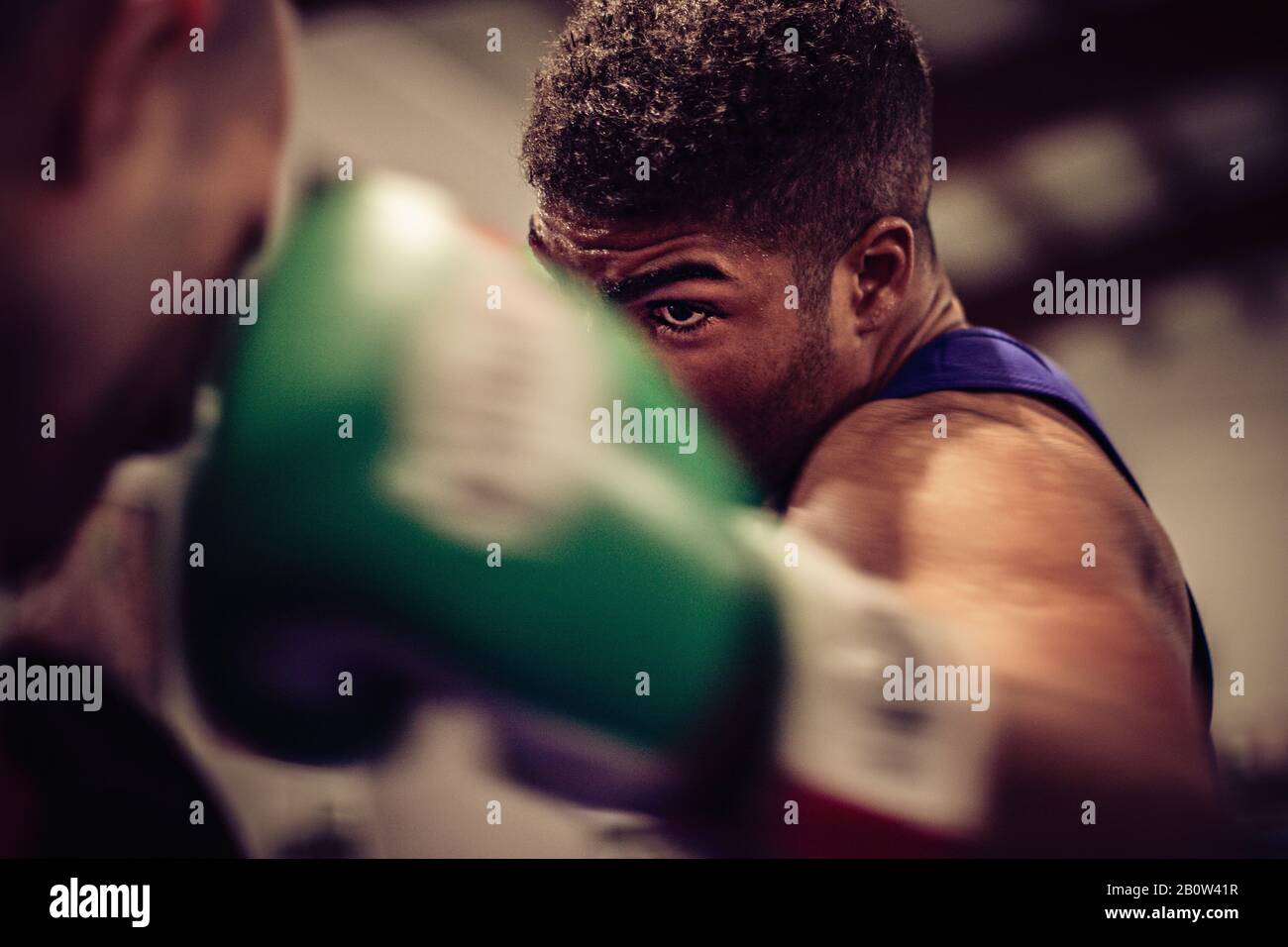 Close up of male boxer wearing green boxing gloves in boxing ring Stock ...