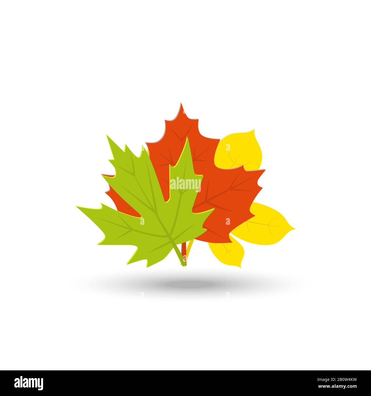 Vector colorful autumn leaf icon set Stock Vector Image & Art - Alamy
