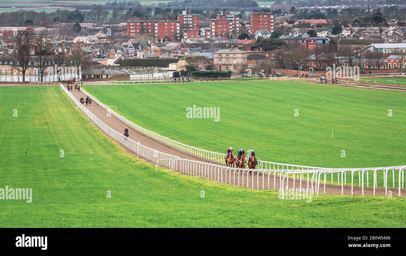 Warren hill newmarket hi-res stock photography and images - Alamy