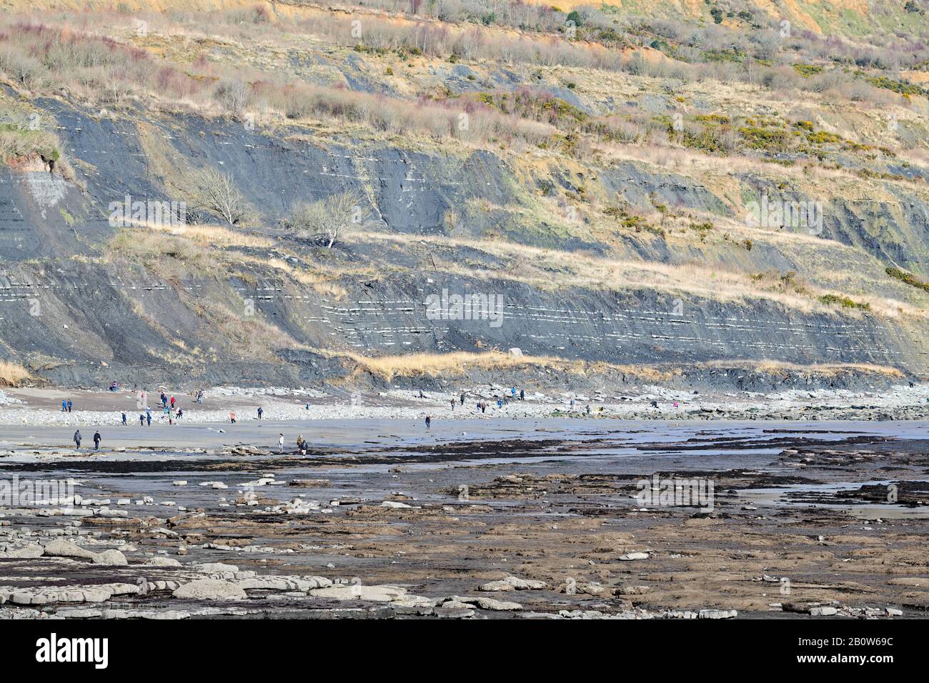 Lyme Regis Cliffs High Resolution Stock Photography and Images - Alamy