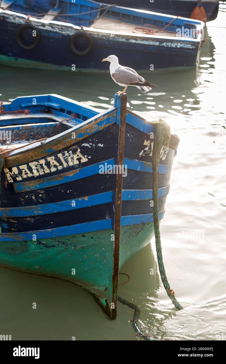 Sardines in blue boat, Essaouira, Morocco Stock Photo - Alamy