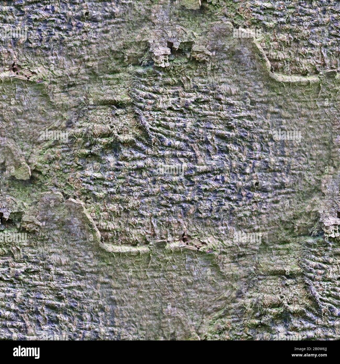 Photo realistic seamless texture pattern of tree bark in high ...